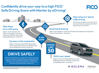 FICO® Safe Driving Score - eDriving