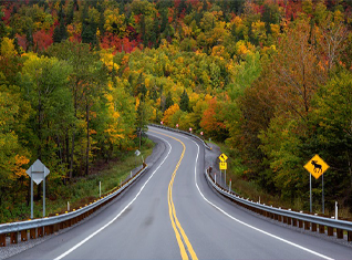 Navigating Autumn’s Hazards: A Guide for Safe Driving - eDriving
